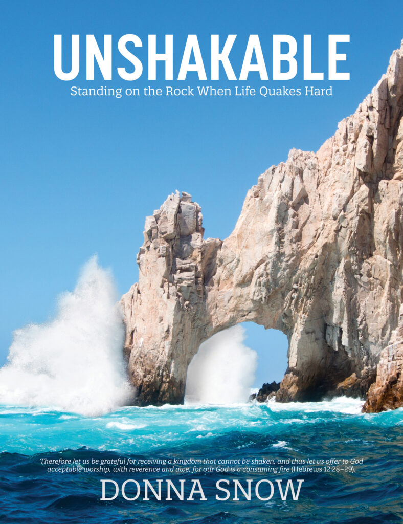 Unshakable: Standing on the Rock When Life Quakes - Family Shield ...